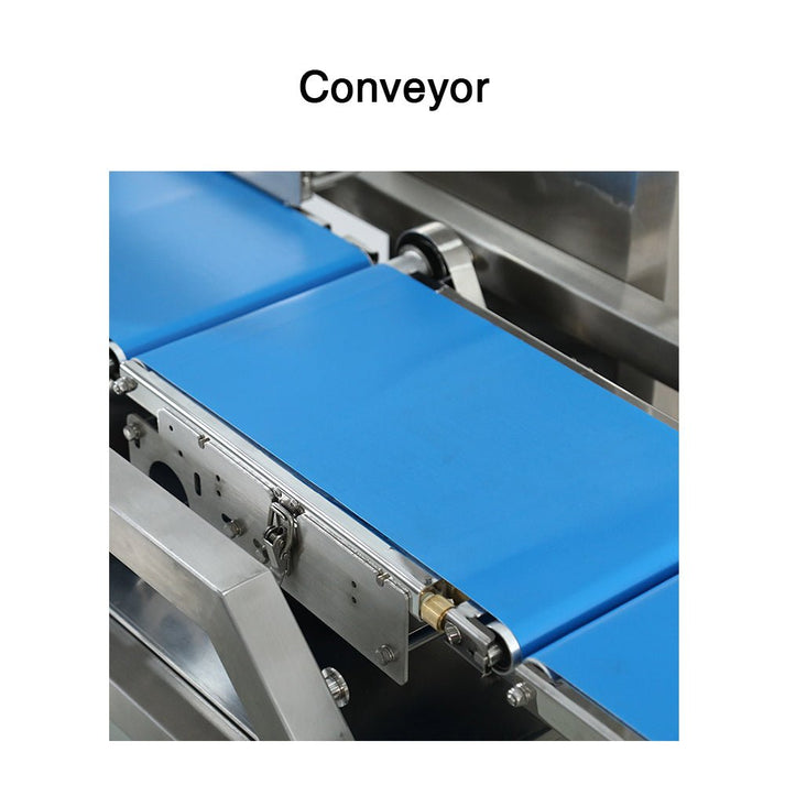 Sorting Scale Dynamic Weighing Check weigher Conveyor Scale – CECLE Machine